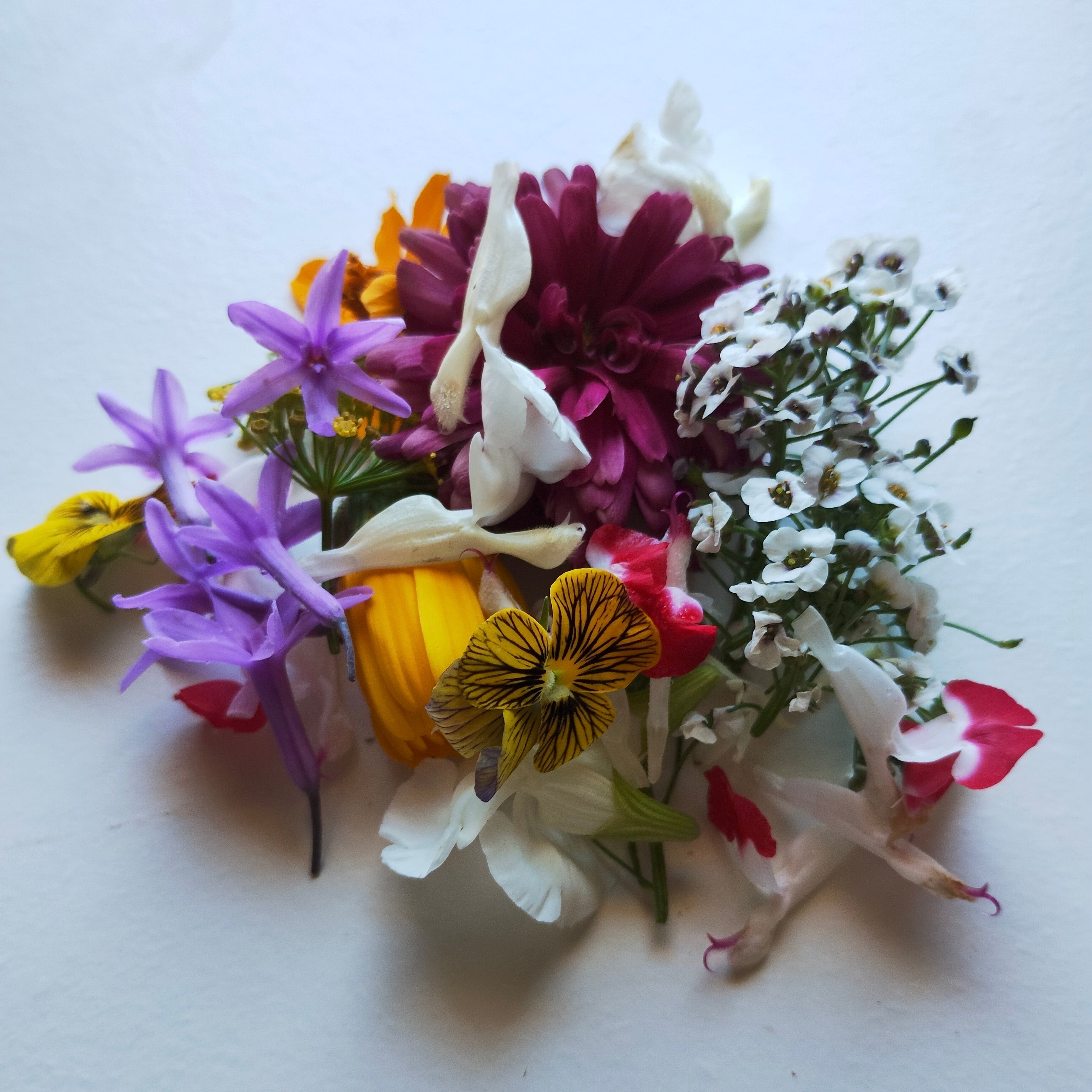 Edible Flowers, Rare Herbs & Bush Foods from SA's Fleurieu Peninsula ...